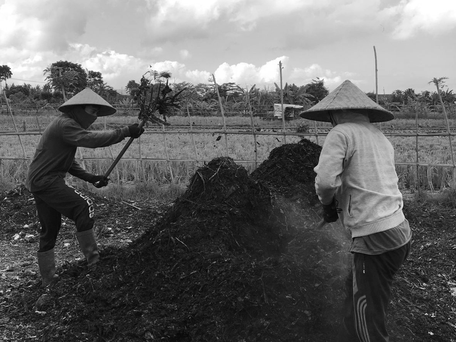 URBAN COMPOST | The Punch Community