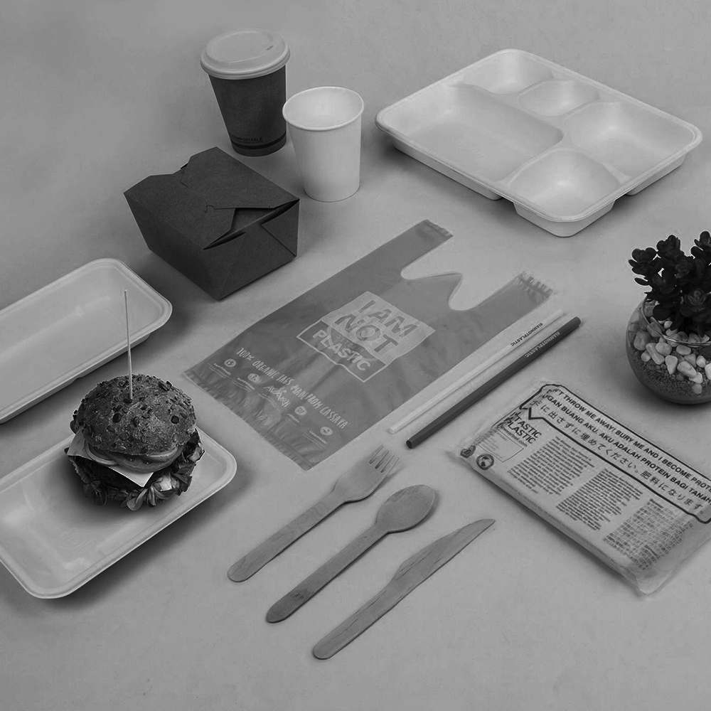 AVANI ECO | The Punch Community