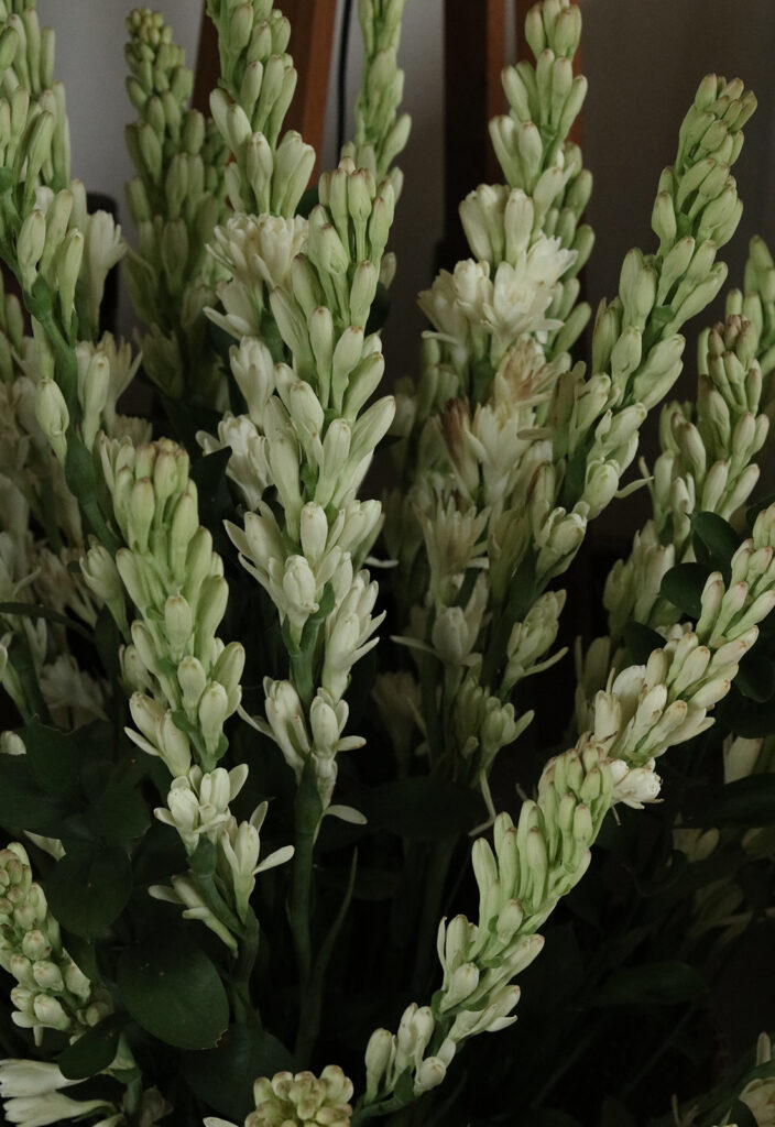 Featured Escape Haven | The Punch Community