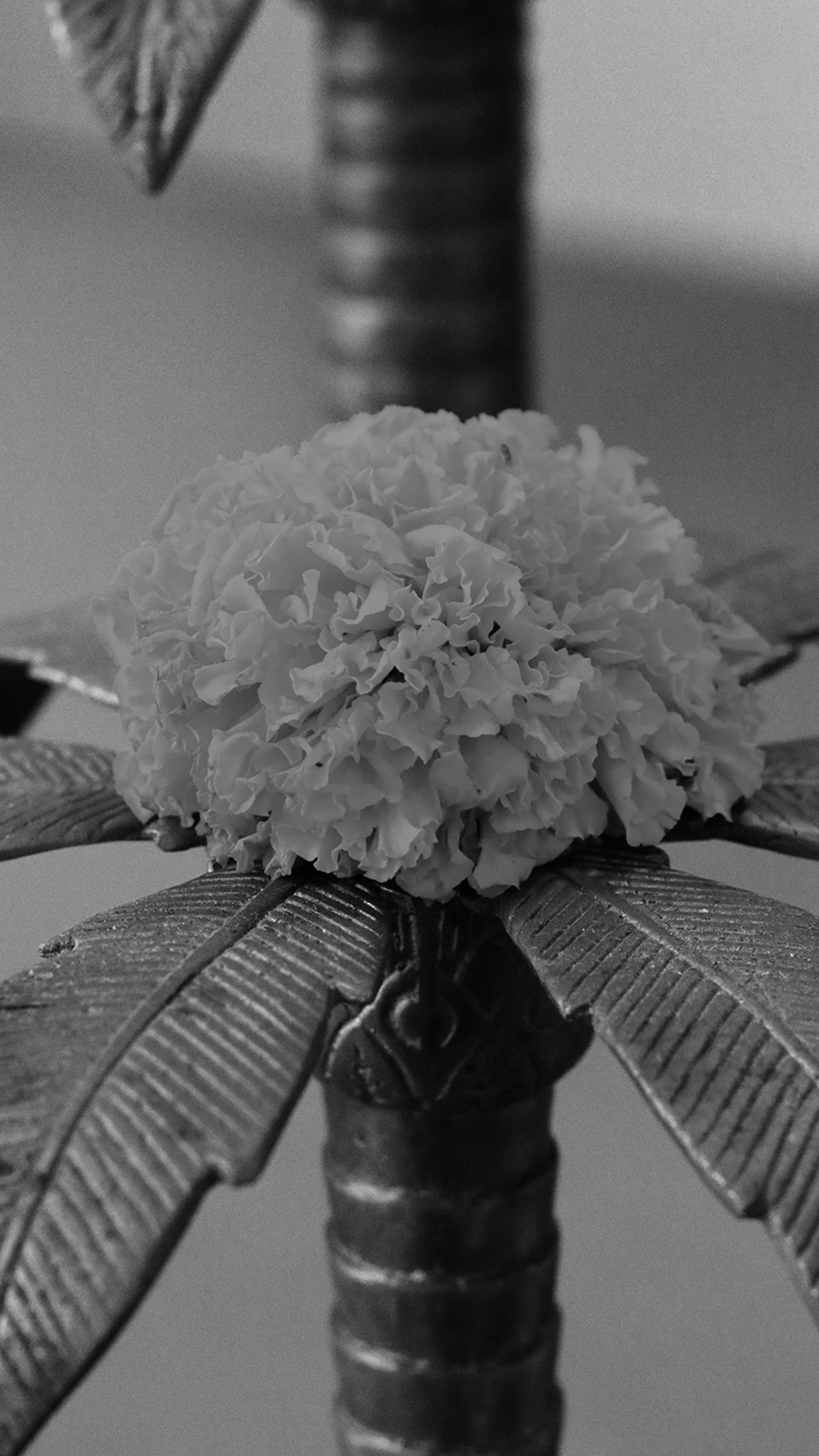 Featured Escape Haven | The Punch Community